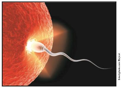 Chapter Four - God Continues to Create Through Human Procreation | Fred ...